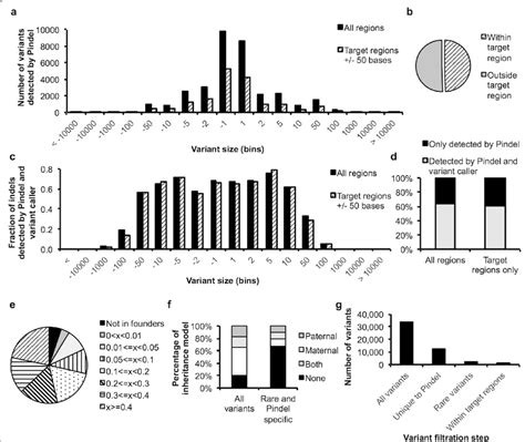 Calling Medium Sized Indels With Pindel Pindel 29 Was Used To Detect Download Scientific