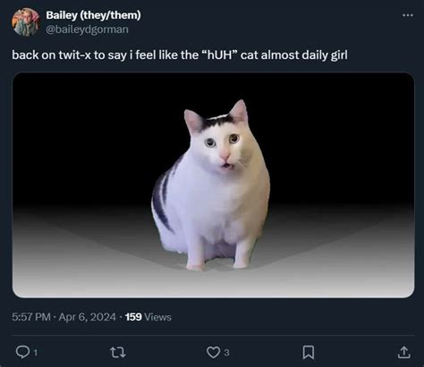 Huh Cat Meme Is Here For Lifes Dumbfounding Moments