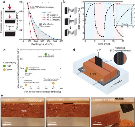 Electrochemically Controlled Hydrogels With Electrotunable Permeability And Uniaxial Actuation
