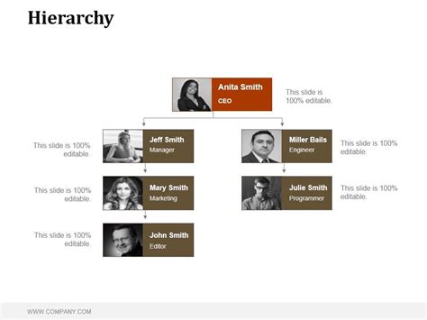 Hierarchy Ppt PowerPoint Presentation Layouts Maker