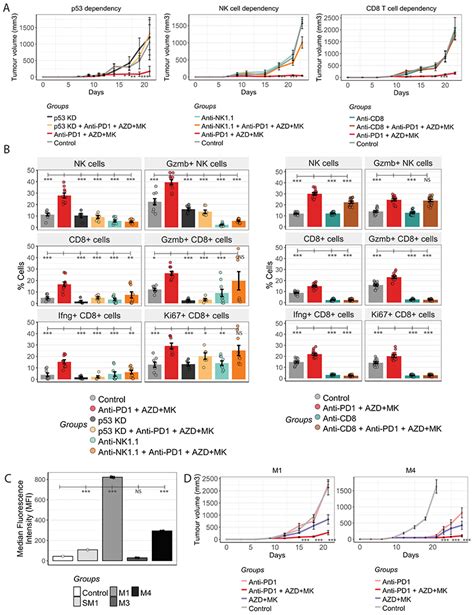 Targeting Wee1 Akt Restores P53 Dependent Nk Cell Activation To Induce Immune Checkpoint