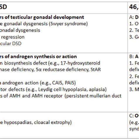The Nomenclature For Classifying Dsd Adapted From Hughes Et Al 2006 Download Scientific