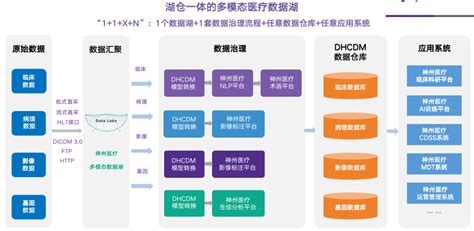 神州医疗多模态医学数据湖，助力医疗数据有效应用及临床研究发展凤凰网区域凤凰网