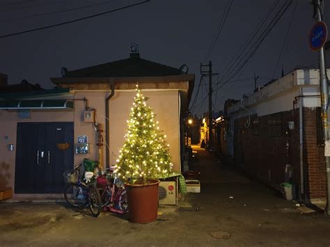 보라 처녀가 잉태하여 아들을 낳을 것이요 그의 이름은 임마누엘이라 카페 오트르 Cafe Autre