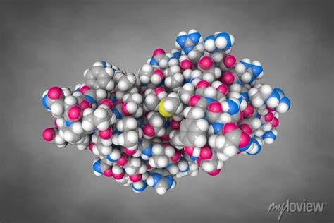 Fold Of The Core Binding Factor Alpha Atoms Are Shown As Spheres • Wall Stickers Background