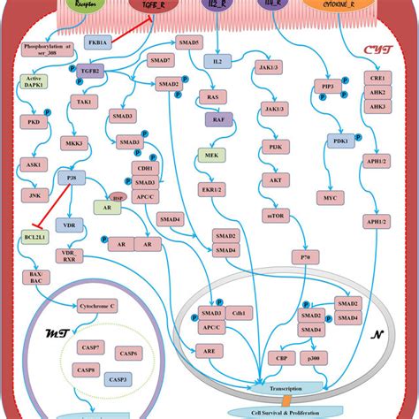 Holistic Pathway Using Network Reconstruction Approach To Represent Download Scientific Diagram