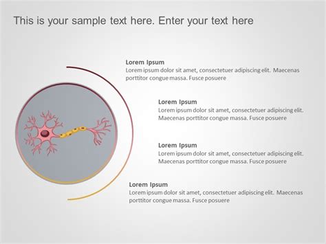 Neurology Powerpoint Template