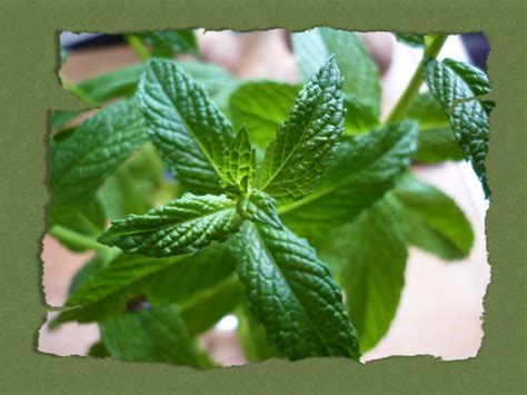 Looking For A Macro Coreldraw Graphics Suite X6 Coreldraw Graphics Suite X6 Coreldraw