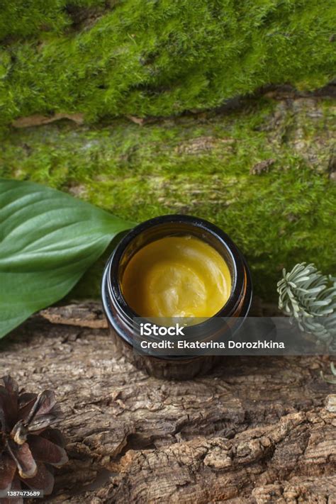 스킨 케어를 위한 친환경 화장품 오일 알로에 건강한 비타민을 함유한 유리 항아리에 천연 크림은 천연 녹색 숲 이끼와 나무 껍질에 있습니다 유기농 에코 바이오 뷰티 화장품 0