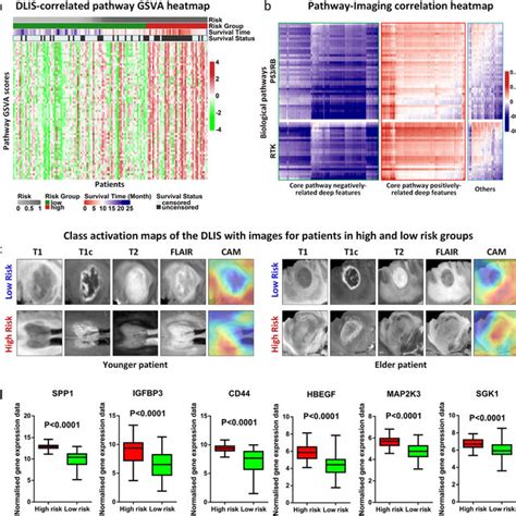A Summary Of The Imaging Transcriptomics Genomics Prognosis