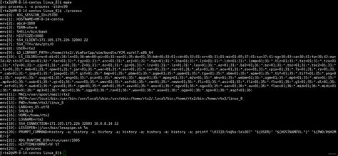 零基础linux 9 进程 环境变量 进程地址空间 进程创建fork linux9 csdn博客