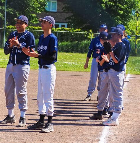 Teams Honkbal And Softbal Vereniging Blue Devils Meppel