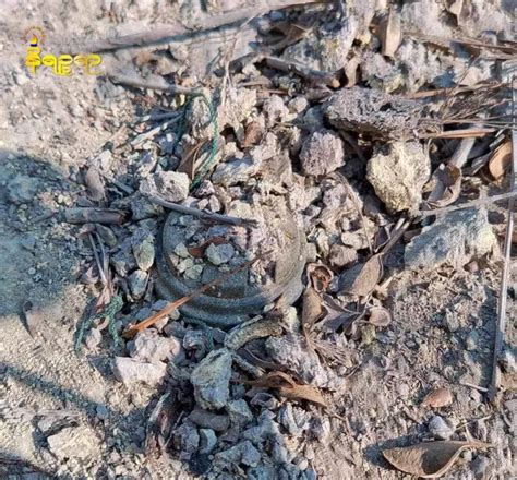 ကျောက်ဖြူတွင် မိုင်းပေါက်ကွဲမှုနှစ်ကြိမ်ဖြစ်ပွားပြီး တစ်ဦးခြေထောက်ပြတ်ကာ တစ်ဦးဒဏ်ရာရ