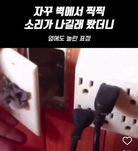 웃긴짤 웃긴영상 웃긴썰 웃긴동영상 Youtube