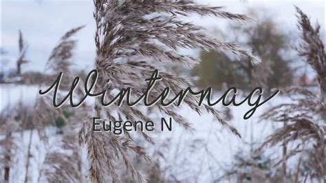 Winternag Deur Eugène N Marais Youtube