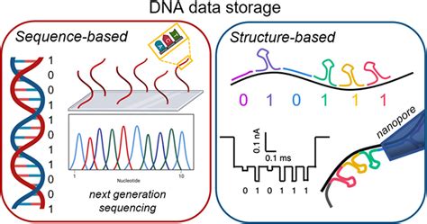 Emerging Approaches To Dna Data Storage Challenges And Prospects Acs