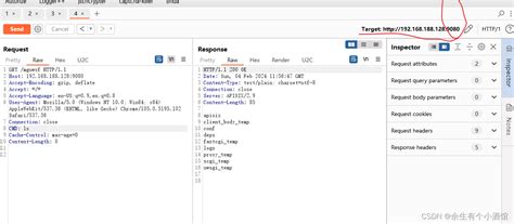 Vulhub中apache Apisix Dashboard Api权限绕过导致rce（cve 2021 45232）