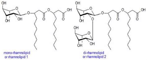 Chemical Structure Of Rhamnolipid Download Scientific Diagram