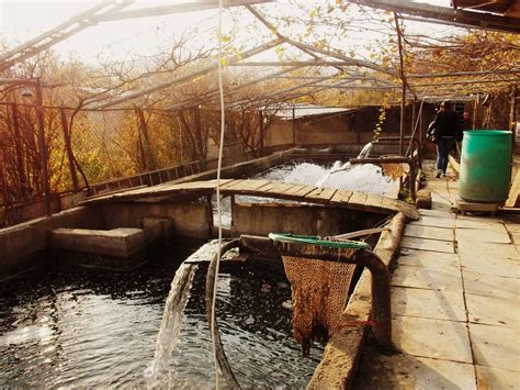 გაიცანით ჩემი რაიონი გალერეა