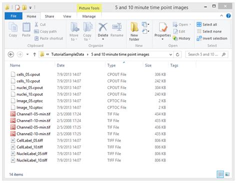 Exporting Single Images