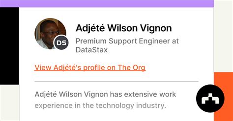 Adjété Wilson Vignon Premium Support Engineer At Datastax The Org