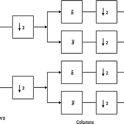 6 The Mallat Algorithm Decomposition Of An Image Download Scientific Diagram