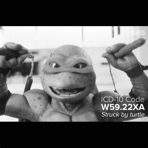 85 Best Icd 10 Codes Humor Images On Pinterest Medical Billing Medical Coder And 10 Codes