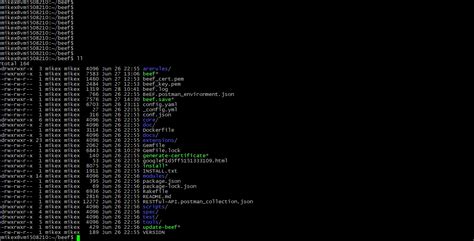 I Inserted Malformed YAML Into The Configuration File And Now BeEF Can