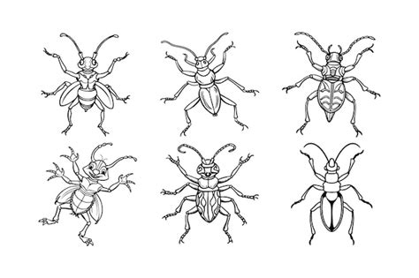 Longhorn Beetle Cerambycidae Design Labeled Line Art Vector