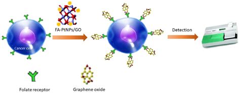 Detection Of Cancer Cells With A Colorimetric Method Using Ptnps Go Download Scientific Diagram