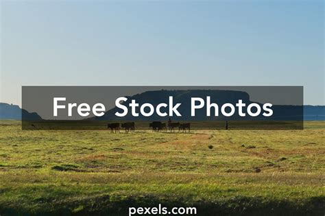 South African Plateau Photos Download The Best Free South African