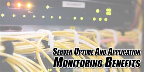 Server Uptime Monitoring That Maximizes Your Websites Availability EXEIdeas Let S Your Mind