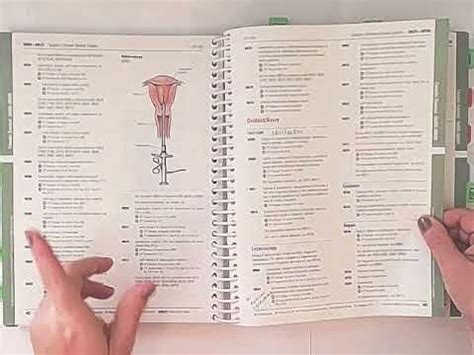 2020 CPT Male Female Maternity Endocrine With Examples Medical Coding Jobs Medical Coding