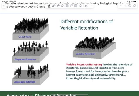 Lecture 18 Variable Retention Harvests Flashcards Quizlet