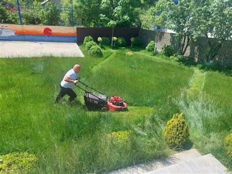 თქვენი მებაღე გთავაზობთ ბალახის მწვანე ეზო Mwvane Ezo Facebook