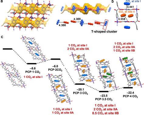 Co2 Binding Sites In Pcp 3 5 Pdc A The Co2 Adsorption Structure In Download Scientific Diagram