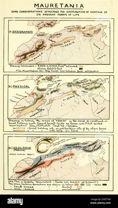 Geological Representation Outlines Subsurface Features Hi Res Stock