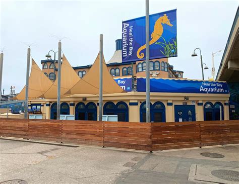 Heal The Bay Aquarium From 4 Santa Monica Groupon