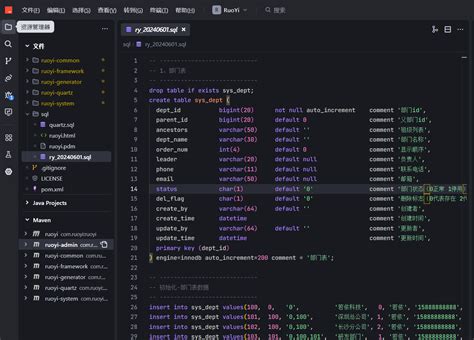 idea转战trea ai ide springboot maven vue项目配置 ew帮帮网