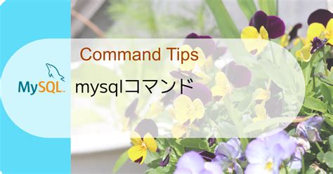 Command Mysql Creativelabo