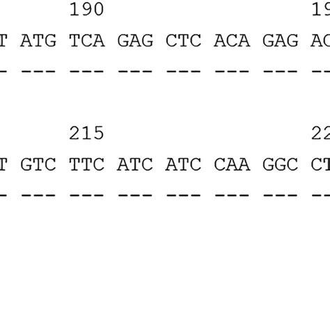 alignment of the sequence of exon 3 of hla‐drb3 02 142 with the download scientific diagram