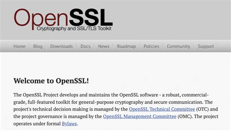 openssl の深刻な 脆弱性 cve 2022 2274 が fix：rce にいたる恐れがある iot ot security news