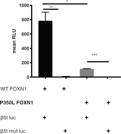 Assessing The Pathogenicity Of The P350l Foxn1 Variant Found In P9 Download Scientific Diagram