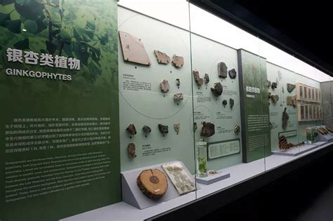 《植物世界》常设展 每日环球展览 Imuseum