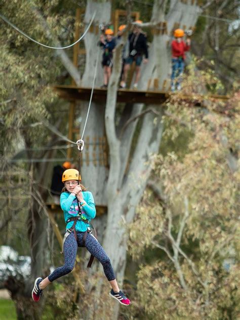 Salisbury Park Locals Back TreeClimb At Harry Bowey Reserve NT News
