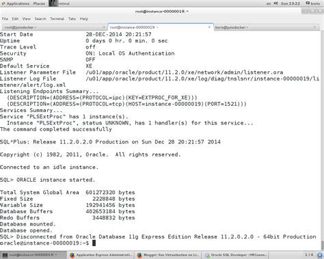 Xen Virtualization On Linux And Solaris Running Oracle Xe 11gr2 In