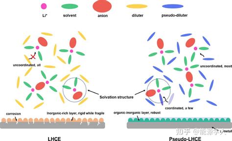 最新esm首次提出伪局部高浓度电解液！ 知乎