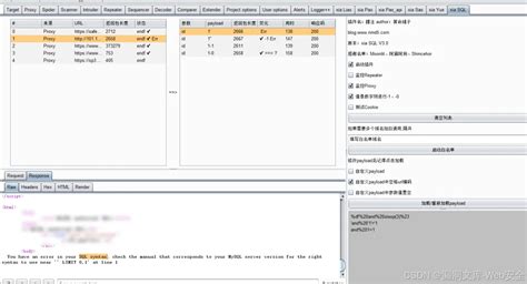 【工具推荐】xiasql Burpsuite插件，主要用于判断sql注入漏洞，多个src赏金挖掘大佬都在使用。xia Sql Csdn博客