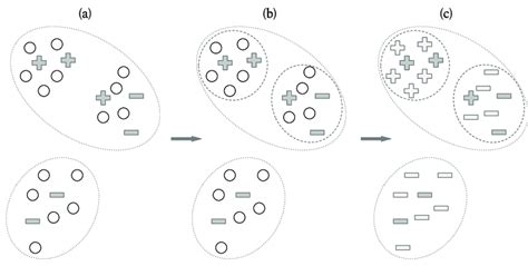 A B Identification Of Viable Clusterings At Different Resolutions Download Scientific
