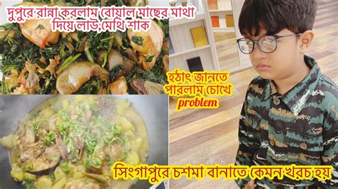 সিংগাপুরে School থেকে করা হয় Eyes Test ॥ চশমা বানাতে কেমন খরচ হয়॥ লাউ
